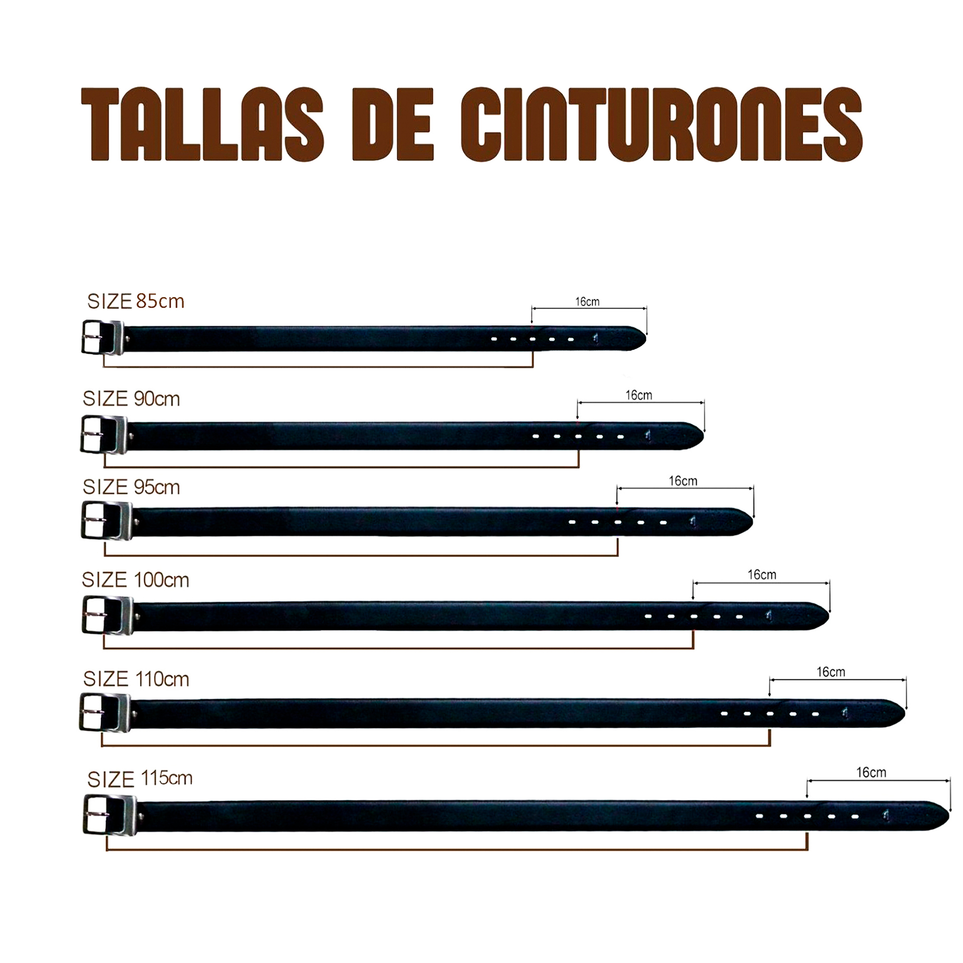 Cinturón 1602 Negro | Gino Rodinis